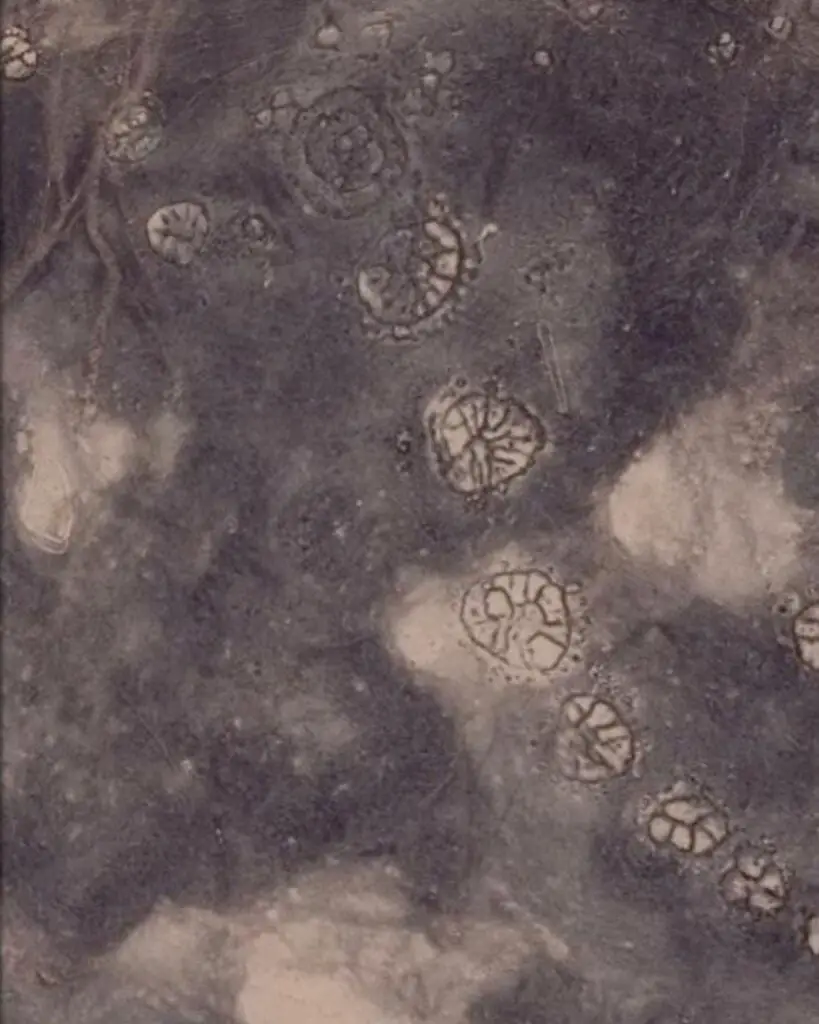 27 Weirdest Things Found on Google Earth - Jontic